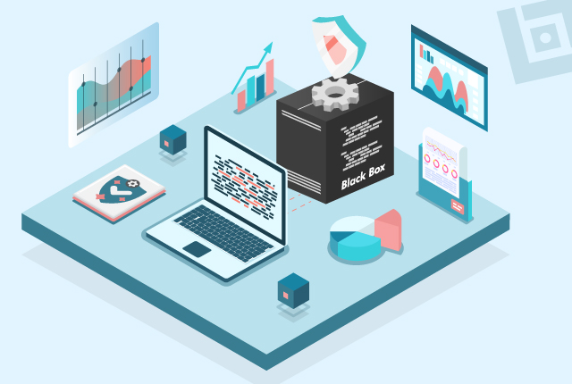 A Comprehensive Guide to Black Box Testing Services in 2025