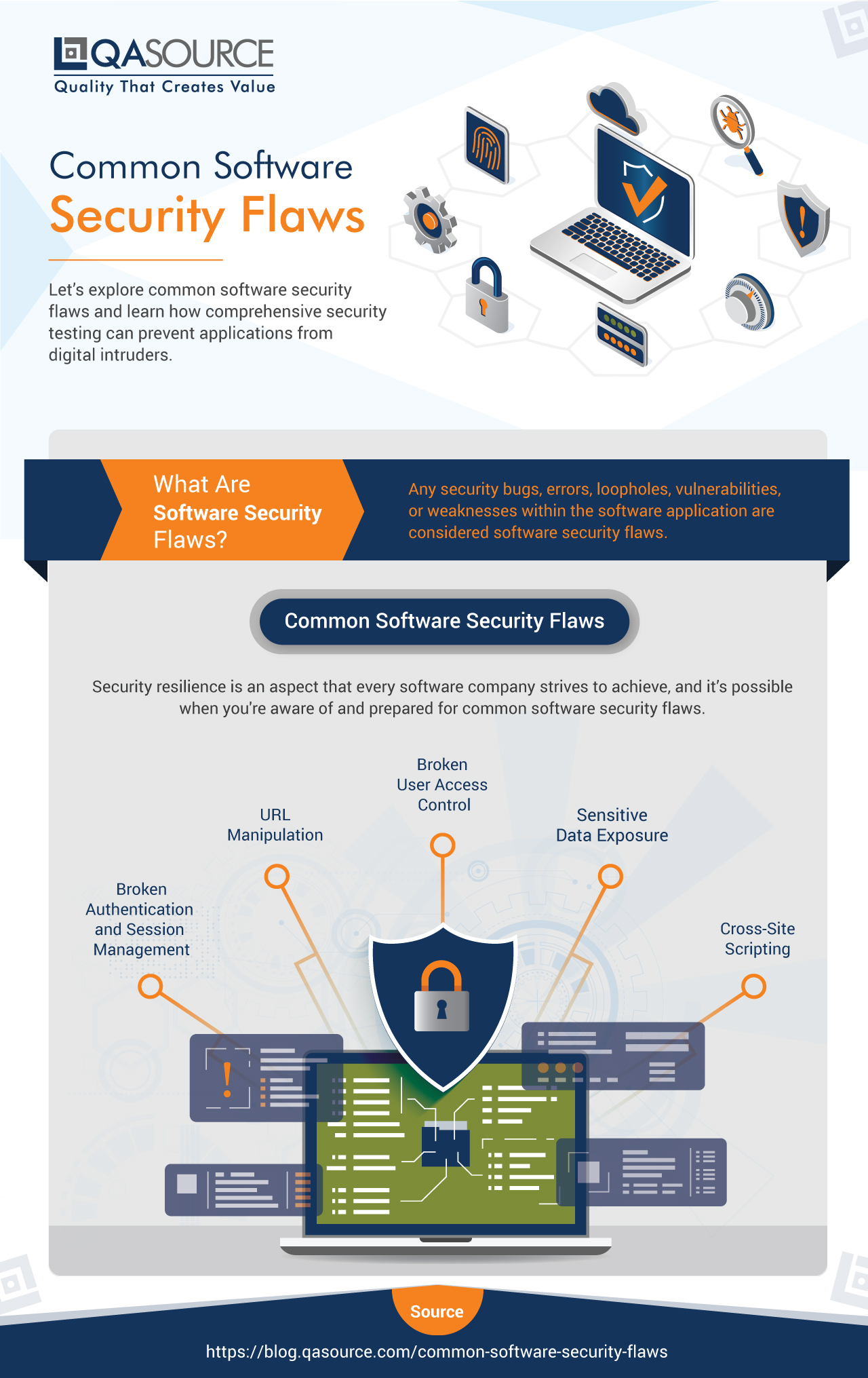 Common Software Security Flaws Infographic